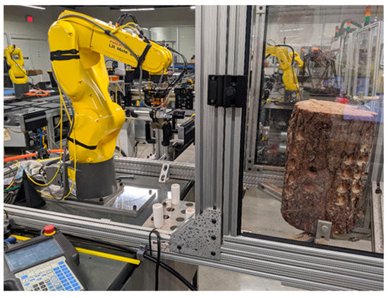 Robot Operations for Pine Tree Resin Collection