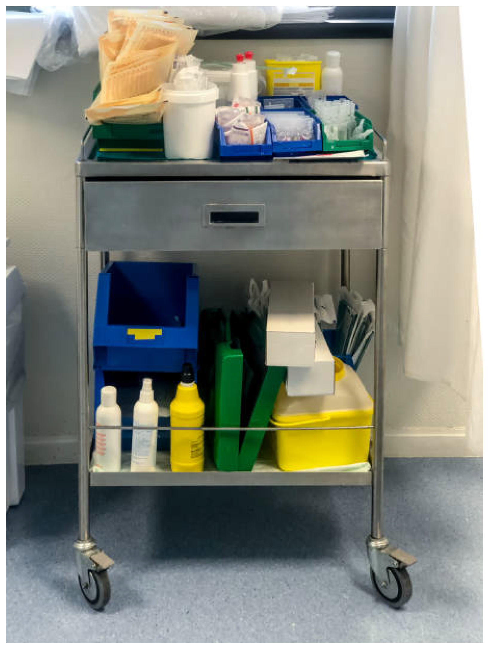 MINA: A Robotic Assistant for Hospital Fetching Tasks