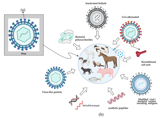 Production Technologies, Regulatory Parameters, and Quality Control of ...