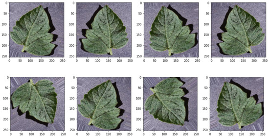 An Efficient Hybrid CNN Classification Model for Tomato Crop Disease