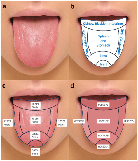 Image-Based Quantification of Color and Its Machine Vision and Offline Applications