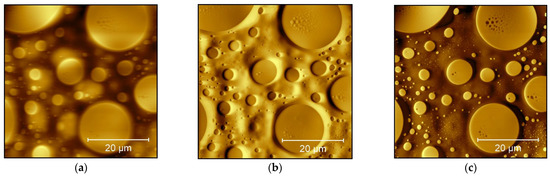 Examination of Polymer Blends by AFM Phase Images