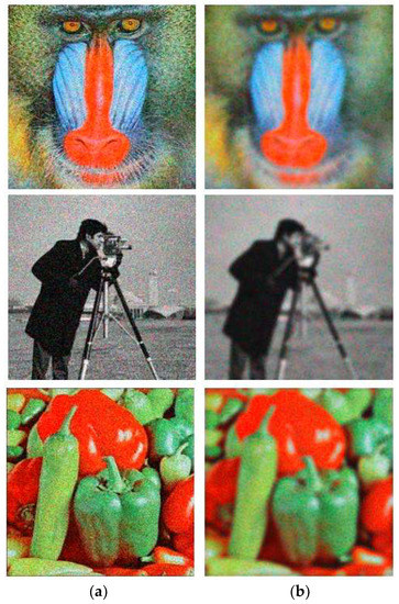 Image Denoising Using Hybrid Deep Learning Approach And Self Improved Orca Predation Algorithm