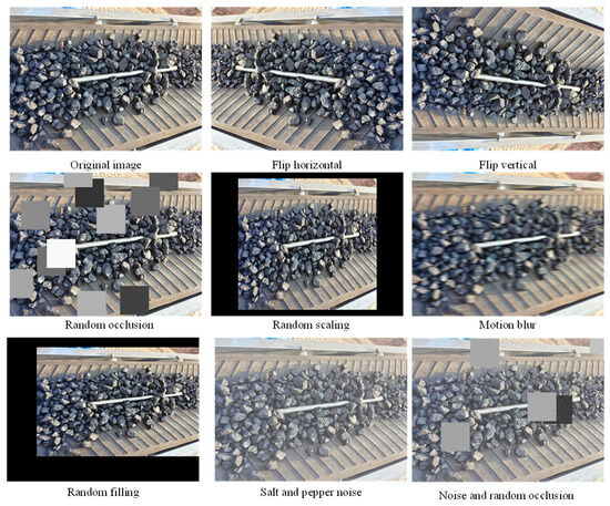 Technologies | Free Full-Text | A Foreign Object Detection Method for Belt Conveyors Based on an ...