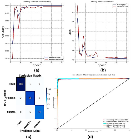 Multi-Scale CNN: An Explainable AI-Integrated Unique Deep Learning ...