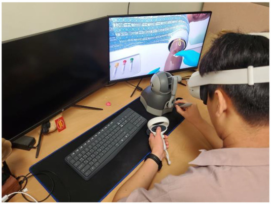 Technologies | Free Full-Text | Immersive VR (Virtual Reality ...