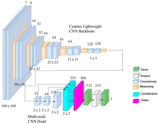 An End-to-End Lightweight Multi-Scale CNN for the Classification of ...