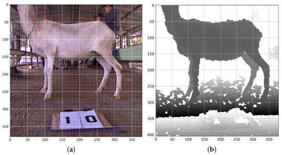 Neural Network-Based Body Weight Prediction in Pelibuey Sheep through Biometric Measurements