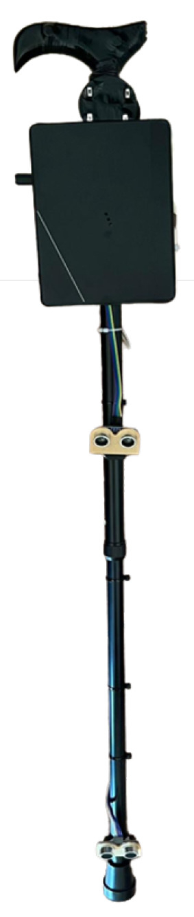 Intelligent Cane for Assisting the Visually Impaired