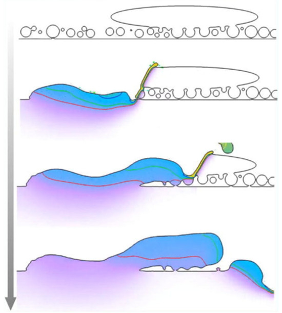 Advancements in 3D Printing: Directed Energy Deposition Techniques ...