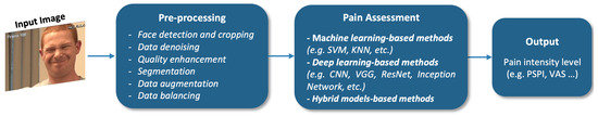 A Review of Automatic Pain Assessment from Facial Information Using ...