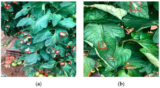 Technologies | Free Full-Text | Smartphone-Based Citizen Science Tool ...