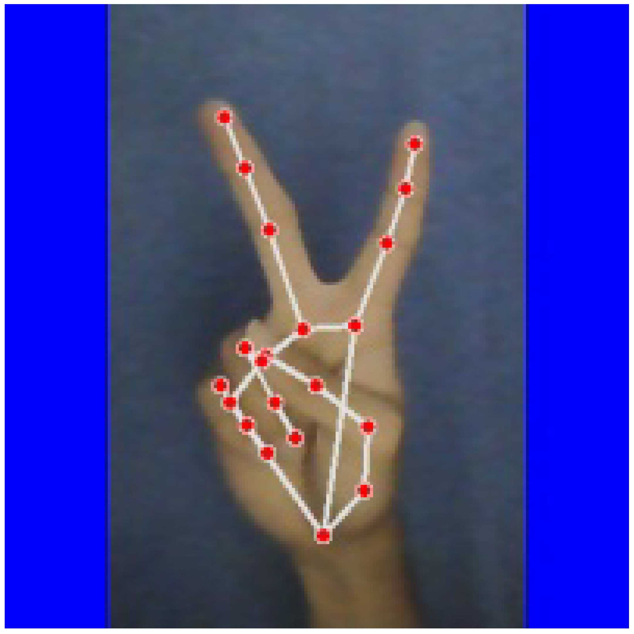 MediaPipe Frame and Convolutional Neural Networks-Based Fingerspelling ...