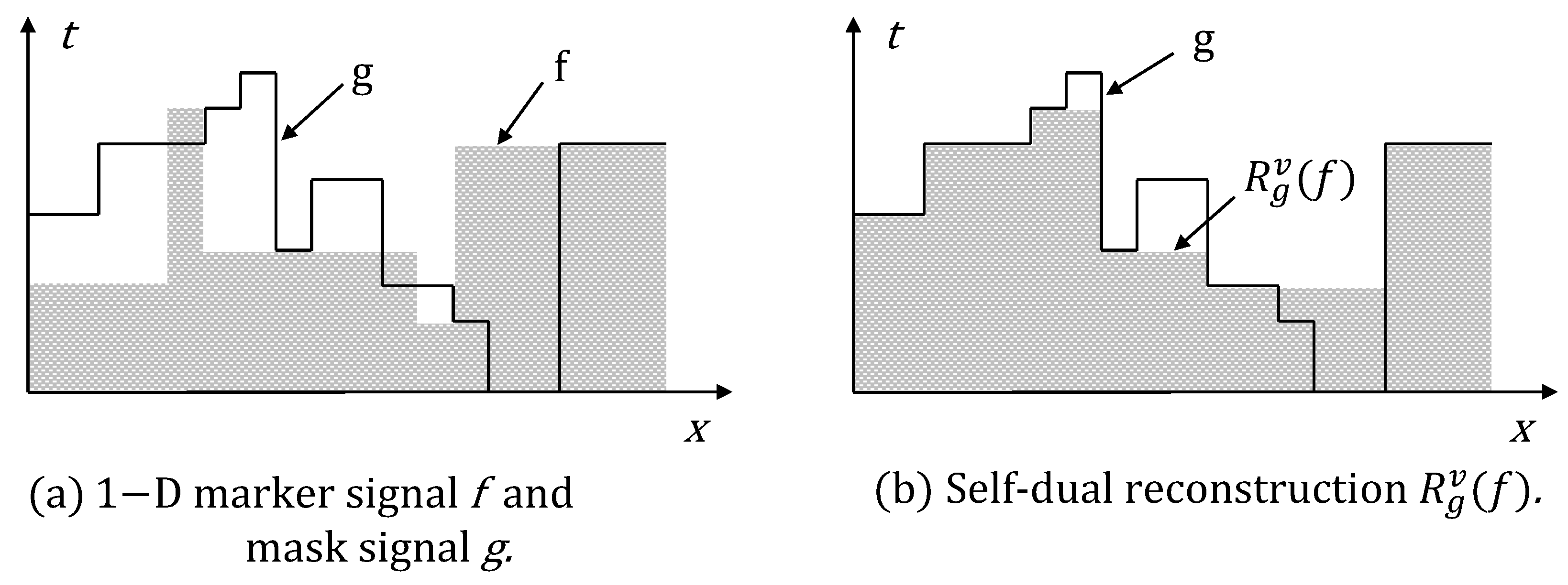 Training Artificial Neural Networks to Detect Multiple Sclerosis Lesions Using Granulometric ...