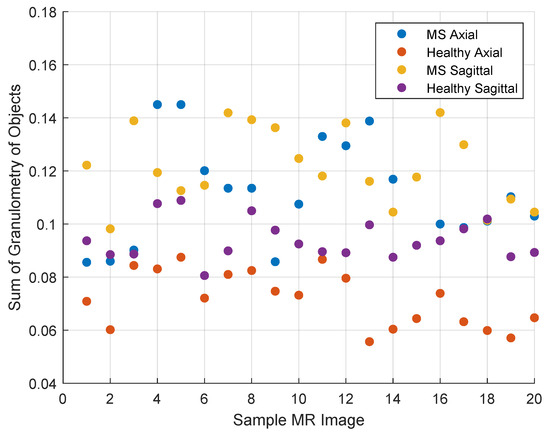 Training Artificial Neural Networks to Detect Multiple Sclerosis Lesions Using Granulometric ...