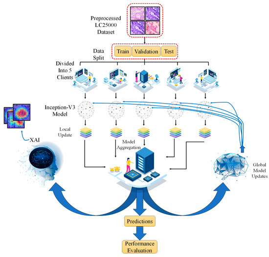 A Collaborative Federated Learning Framework for Lung and Colon Cancer ...