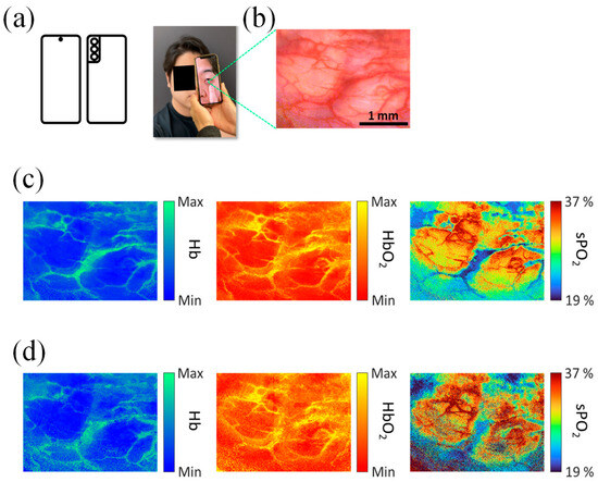 Synergy between Artificial Intelligence and Hyperspectral Imagining—A Review