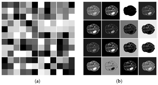 Brain Tumor Segmentation from Optimal MRI Slices Using a Lightweight U-Net