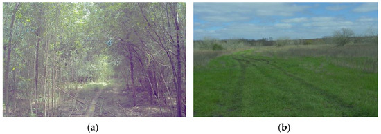 Enhancing Autonomous Visual Perception in Challenging Environments ...