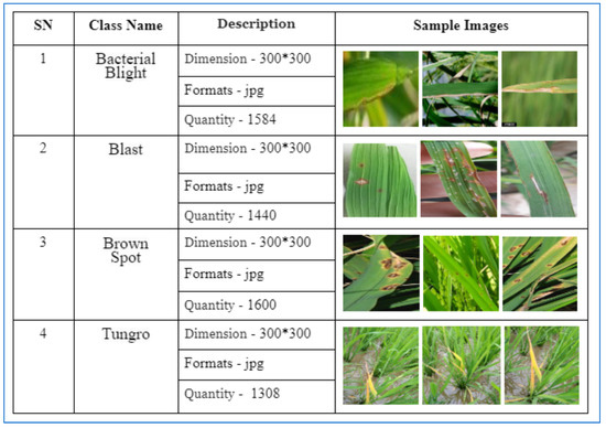 Rice Leaf Disease Classification—A Comparative Approach Using Convolutional Neural Network (CNN ...