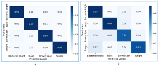 Rice Leaf Disease Classification—A Comparative Approach Using ...