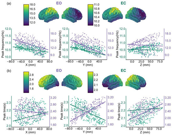 The Gradient of Spontaneous Oscillations Across Cortical Hierarchies ...