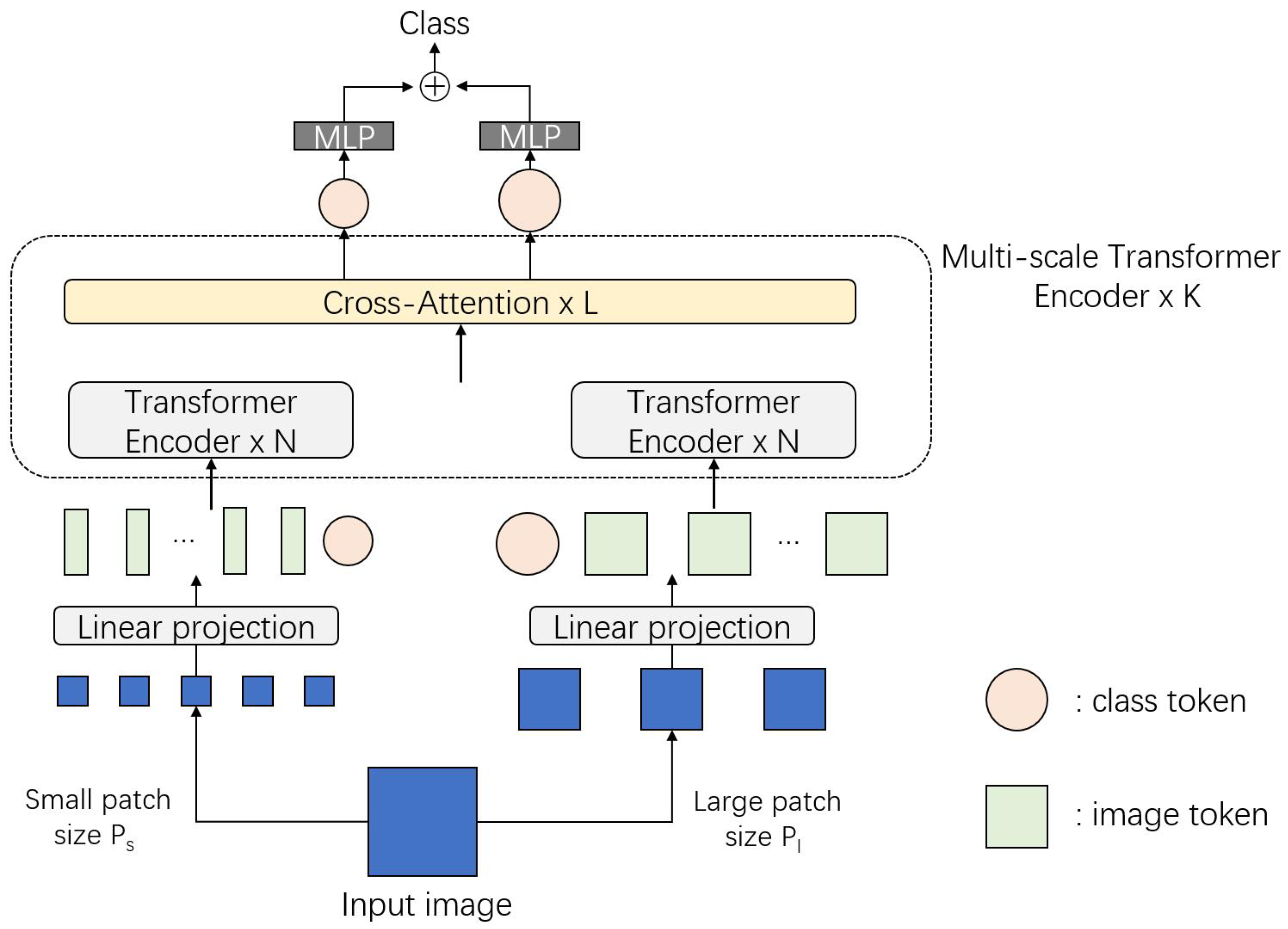 Vision Transformers for Image Classification: A Comparative Survey