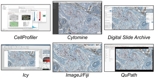 Comparative Evaluation of Commercial, Freely Available, and Open-Source Tools for Single-Cell ...