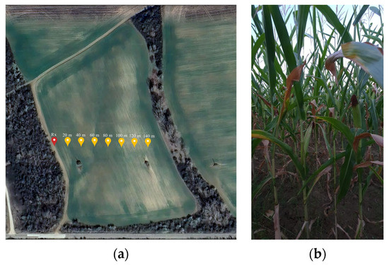 Reliable and Resilient Wireless Communications in IoT-Based Smart ...