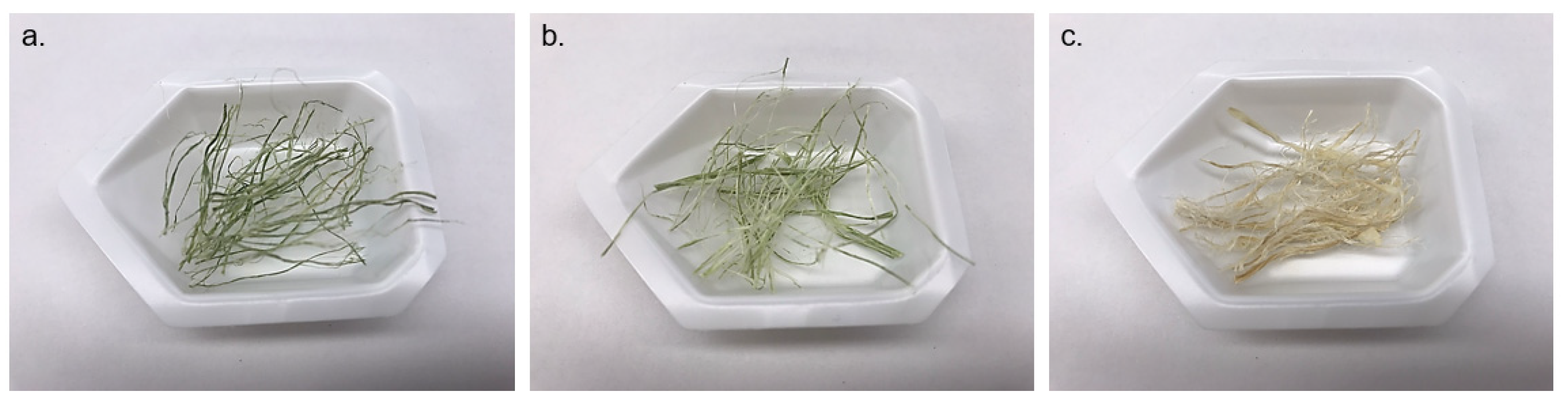 Rapid Fabrication of Pineapple Leaf Fibers from Discarded Leaves by ...