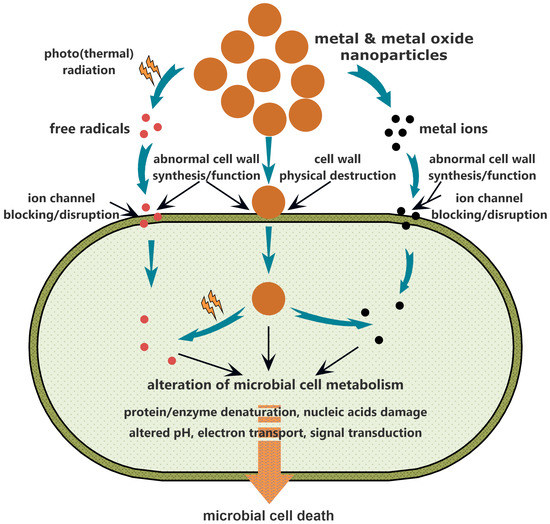 Highly Specialized Textiles with Antimicrobial Functionality—Advances ...