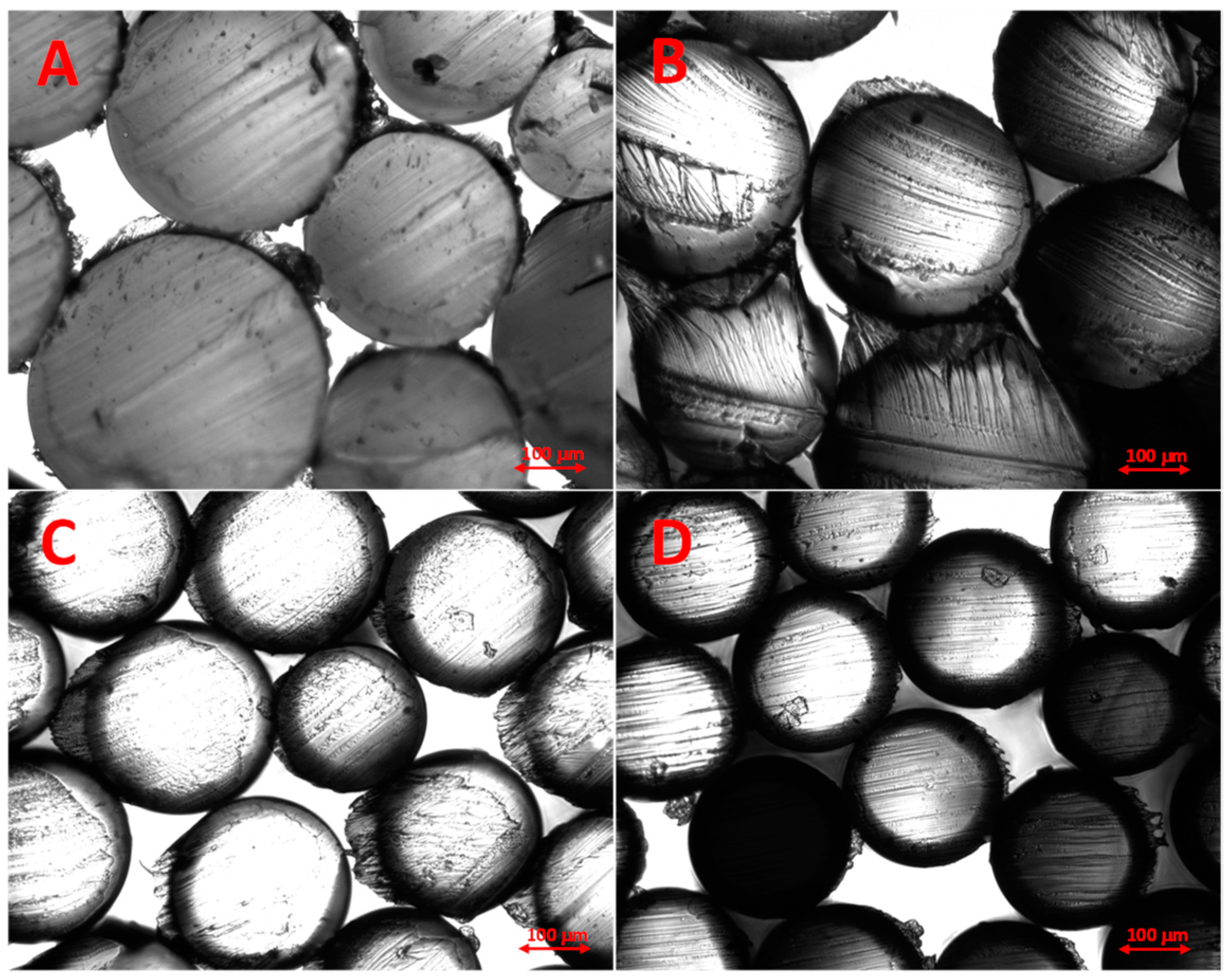 Antimicrobial Properties of Polyester/Copper Nanocomposites by Melt ...
