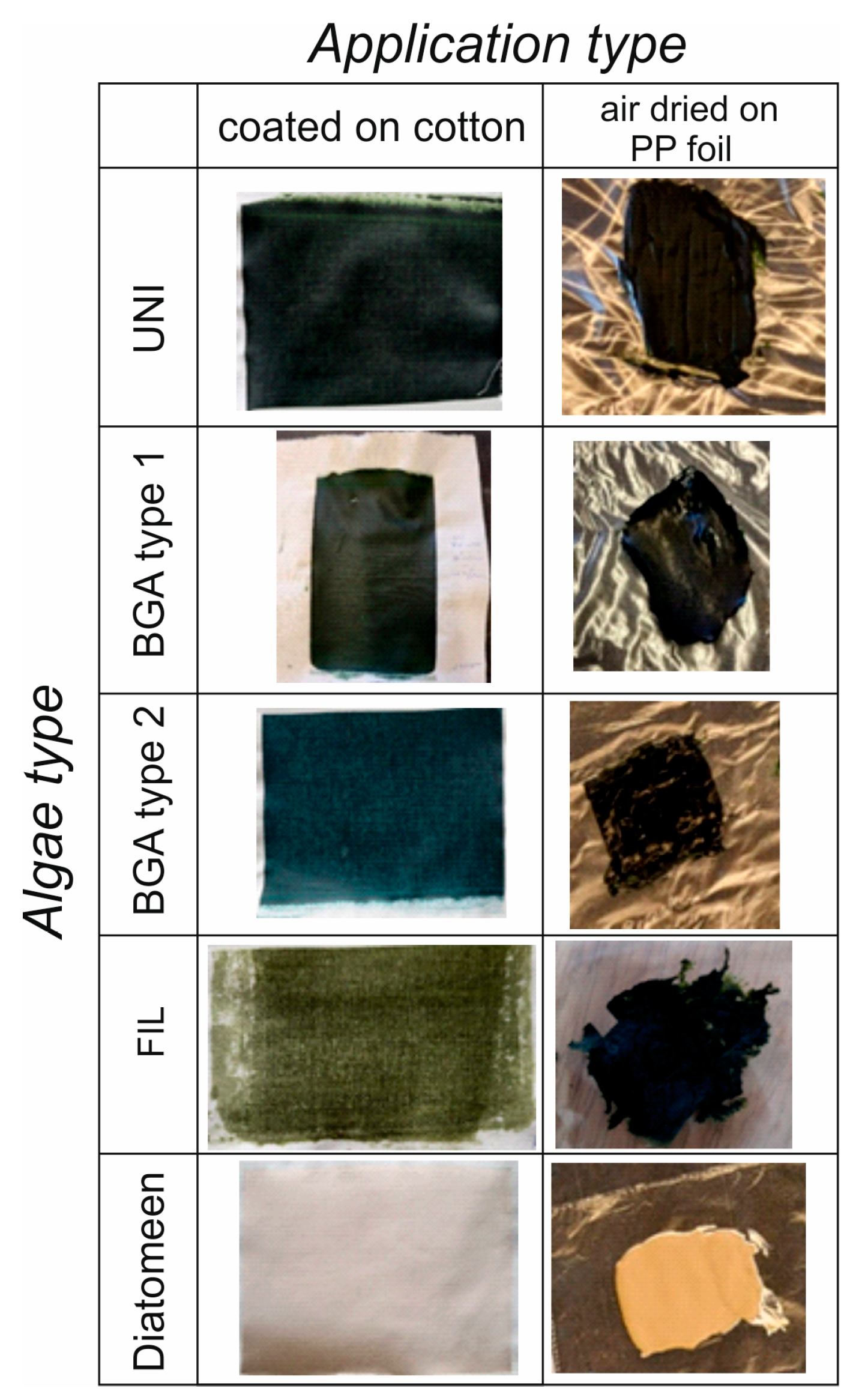 Algae-Based Coatings for Fully Bio-Based and Colored Textile Products