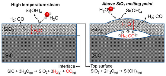 Steam Oxidation of Silicon Carbide at High Temperatures for the ...