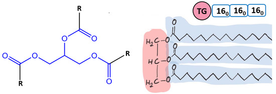 Non-Covalent Interactions in Triglycerides: Vaporisation Thermodynamics ...