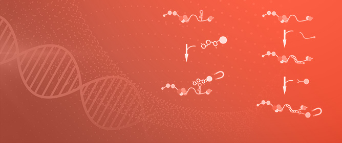 Non-Coding RNA | An Open Access Journal from MDPI