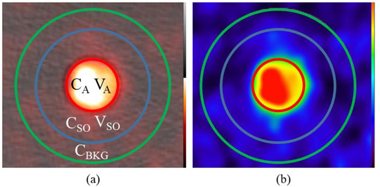 Phantom Validation of a Conservation of Activity-Based Partial Volume Correction Method for ...