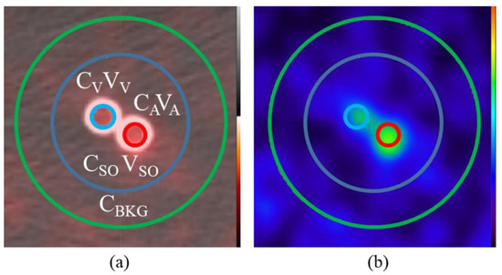 Phantom Validation of a Conservation of Activity-Based Partial Volume Correction Method for ...