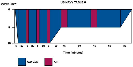 Breath-Hold Diving-Related Decompression Sickness with Brain ...