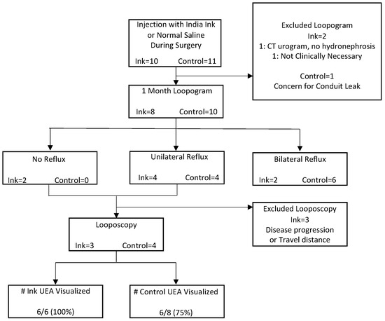 India Ink Tattooing of Ureteroenteric Anastomoses