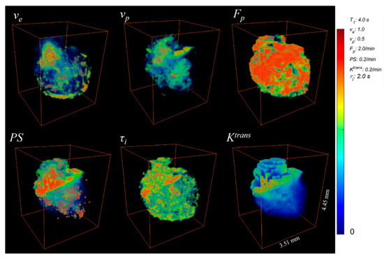 Textural Features of Mouse Glioma Models Measured by Dynamic Contrast ...
