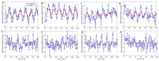Identifying Brain Network Structure for an fMRI Effective Connectivity ...