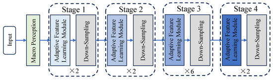 Lightweight MRI Brain Tumor Segmentation Enhanced by Hierarchical Feature Fusion