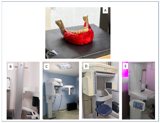 Voxel Size and Field of View Influence on Periodontal Bone Assessment Using Four CBCT Systems ...