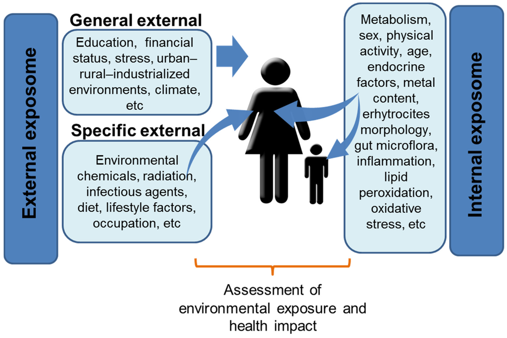 Multifactorial Origin of Neurodevelopmental Disorders: Approaches to ...