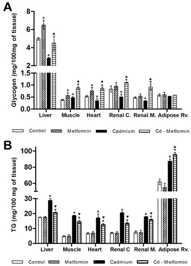 Toxics | Special Issue : Cadmium Sources and Toxicity