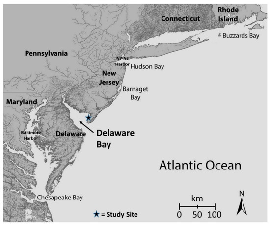 Heavy Metals in Biota in Delaware Bay, NJ: Developing a Food Web ...