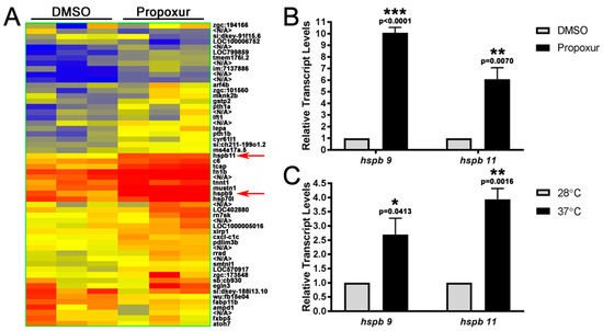 Exposure of Larval Zebrafish to the Insecticide Propoxur Induced ...