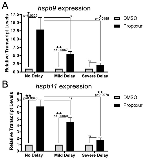 Exposure of Larval Zebrafish to the Insecticide Propoxur Induced ...