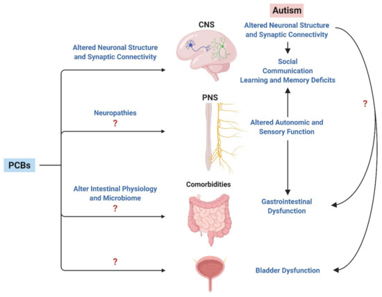 Polychlorinated Biphenyls (PCBs): Risk Factors for Autism Spectrum ...